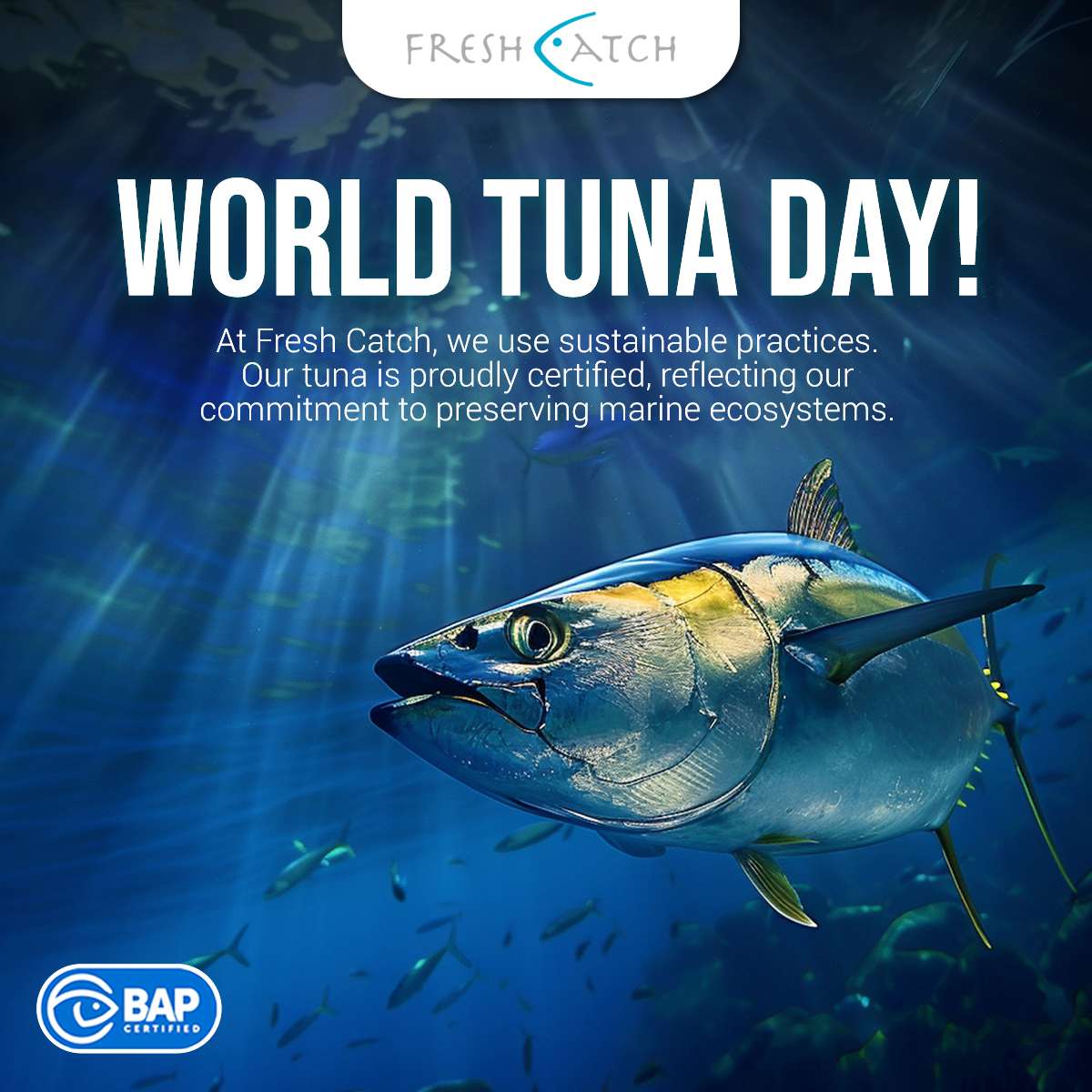 Homepage - FreshCatch