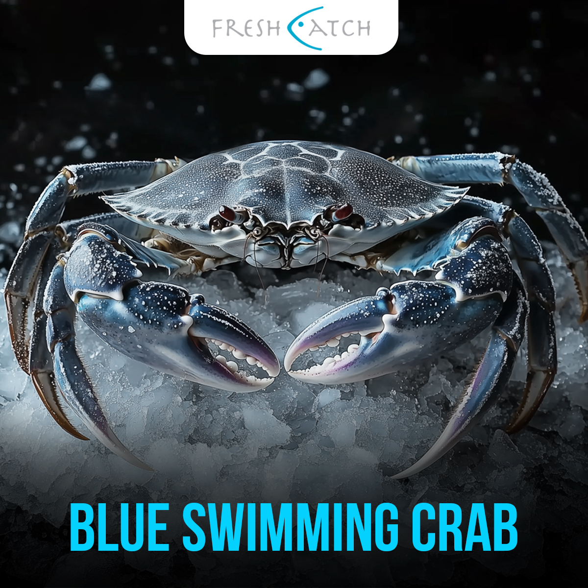 Homepage - FreshCatch